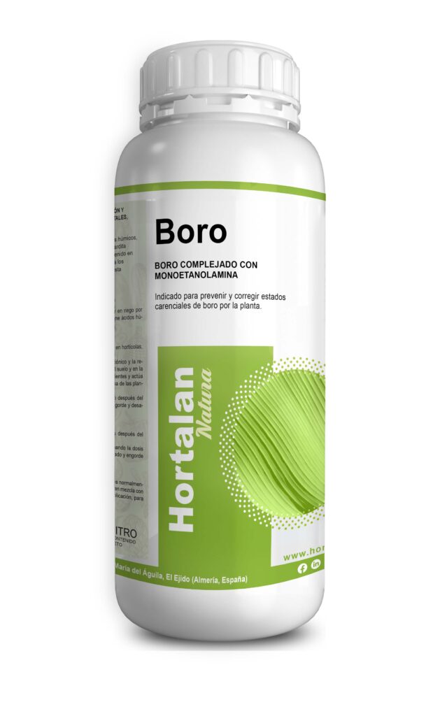 BORO - Catalogo Hortalán